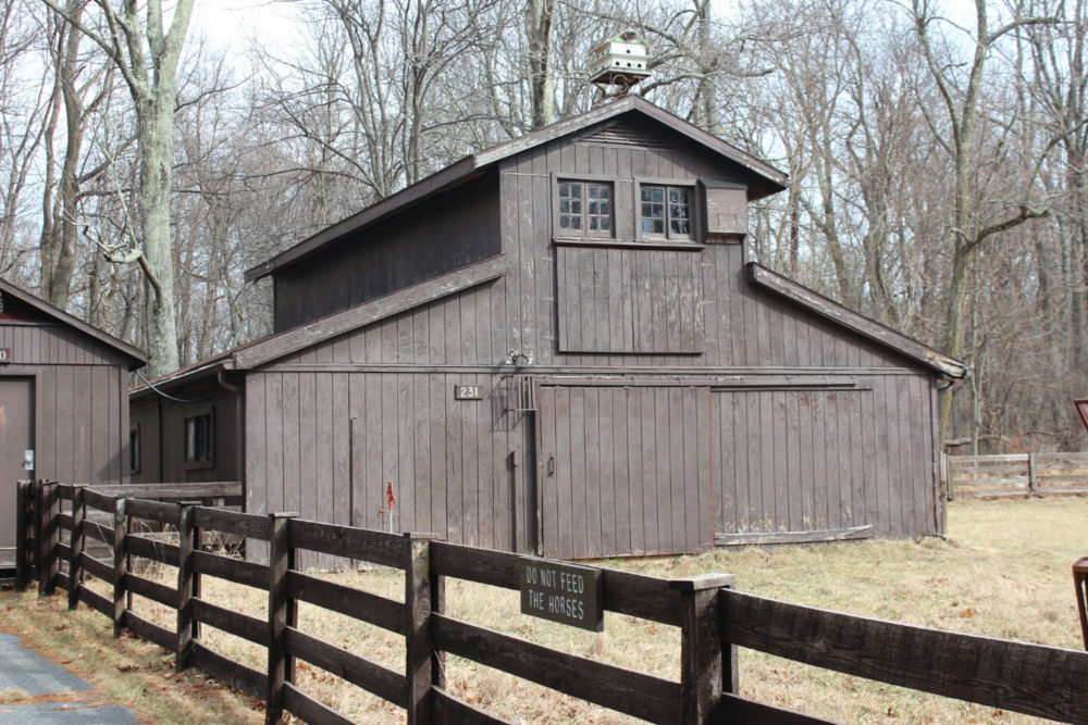 Catoctin Forest Alliance Launches Campaign to Restore Catoctin Mountain ...